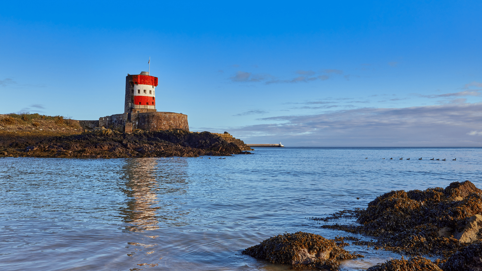 Common factors that cause contentious situations in trusts | Equiom